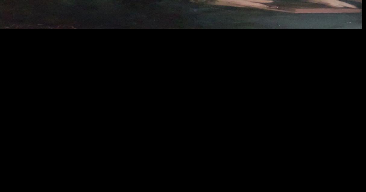 Helson Gallery hosts special exhibit on famed local painter J.W.L.Forster