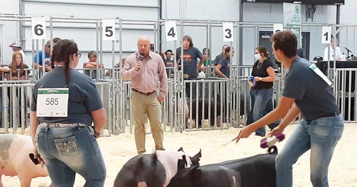 Swine showmanship concludes first day’s 4-H events