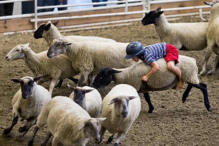 Kids hold on during Mutton Bustin’ Finals