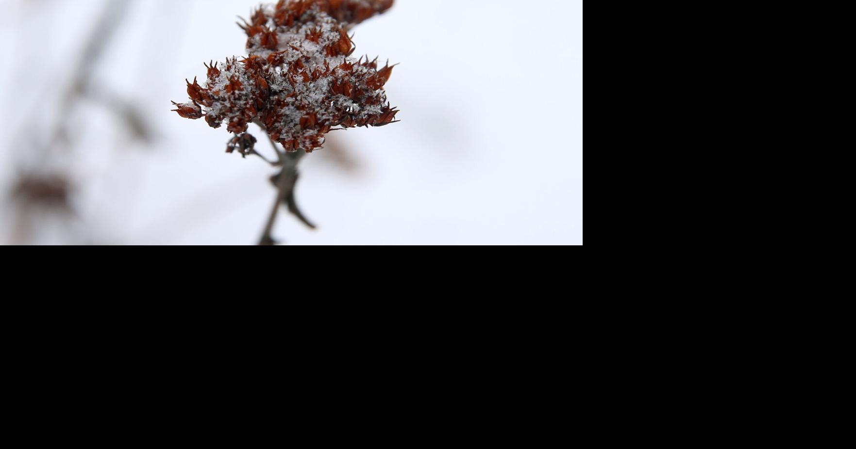 Snow expected to hit Grand Island; National Weather Service issues ...