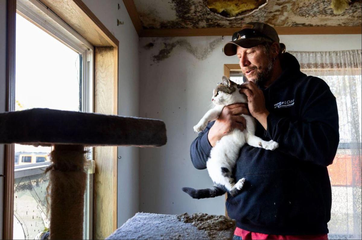 After a 'whim, wing and a prayer' plea, Nebraska couple find cat lost after April tornado