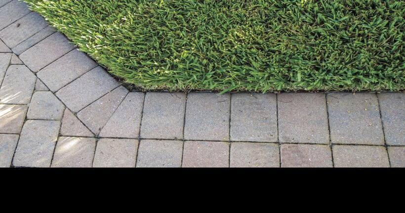 Want the perfect lawn this summer? Start working on it soon