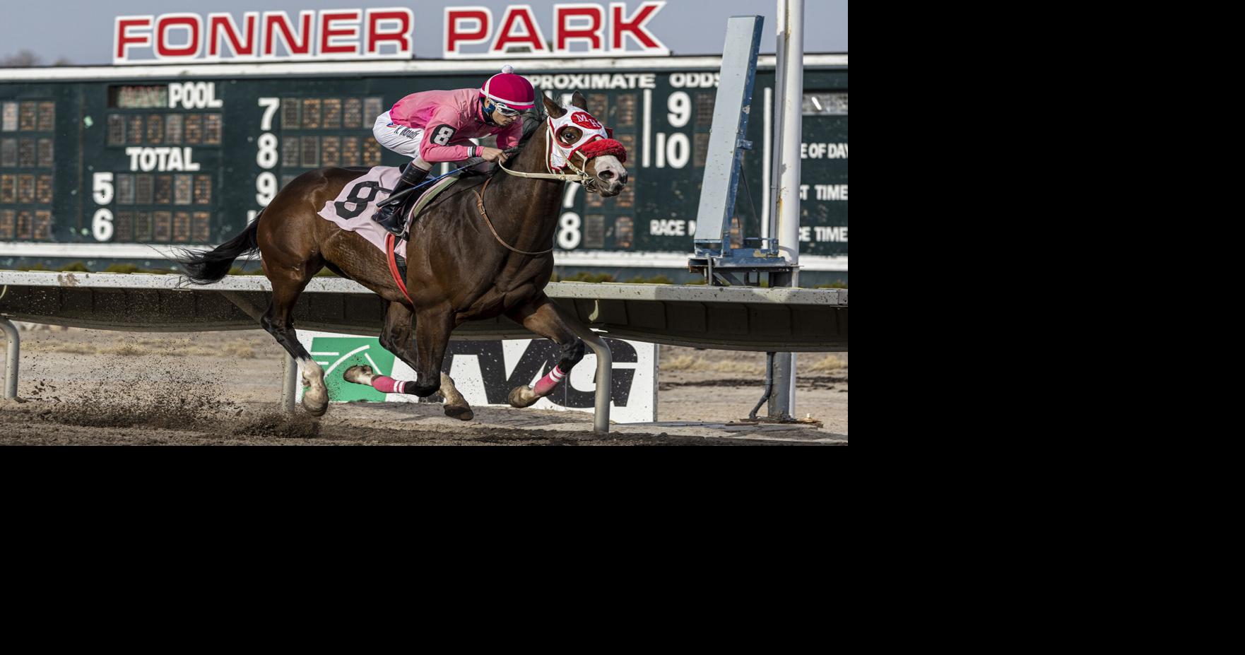 Sarcastic Tone rolls to Dowd Mile win