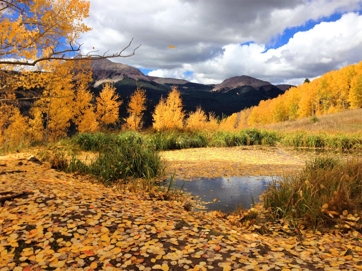 Rev. Dan Safarik: Avoid a dull and drab life