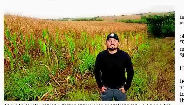 Trying to reverse history