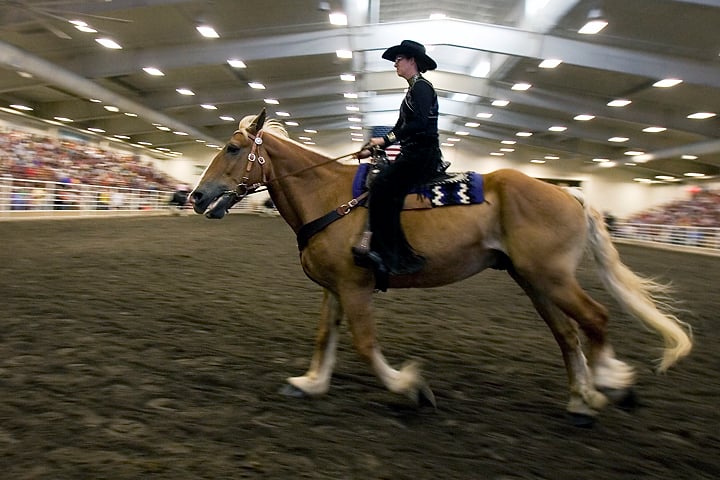 Draft horses are the stars of State Fair shows