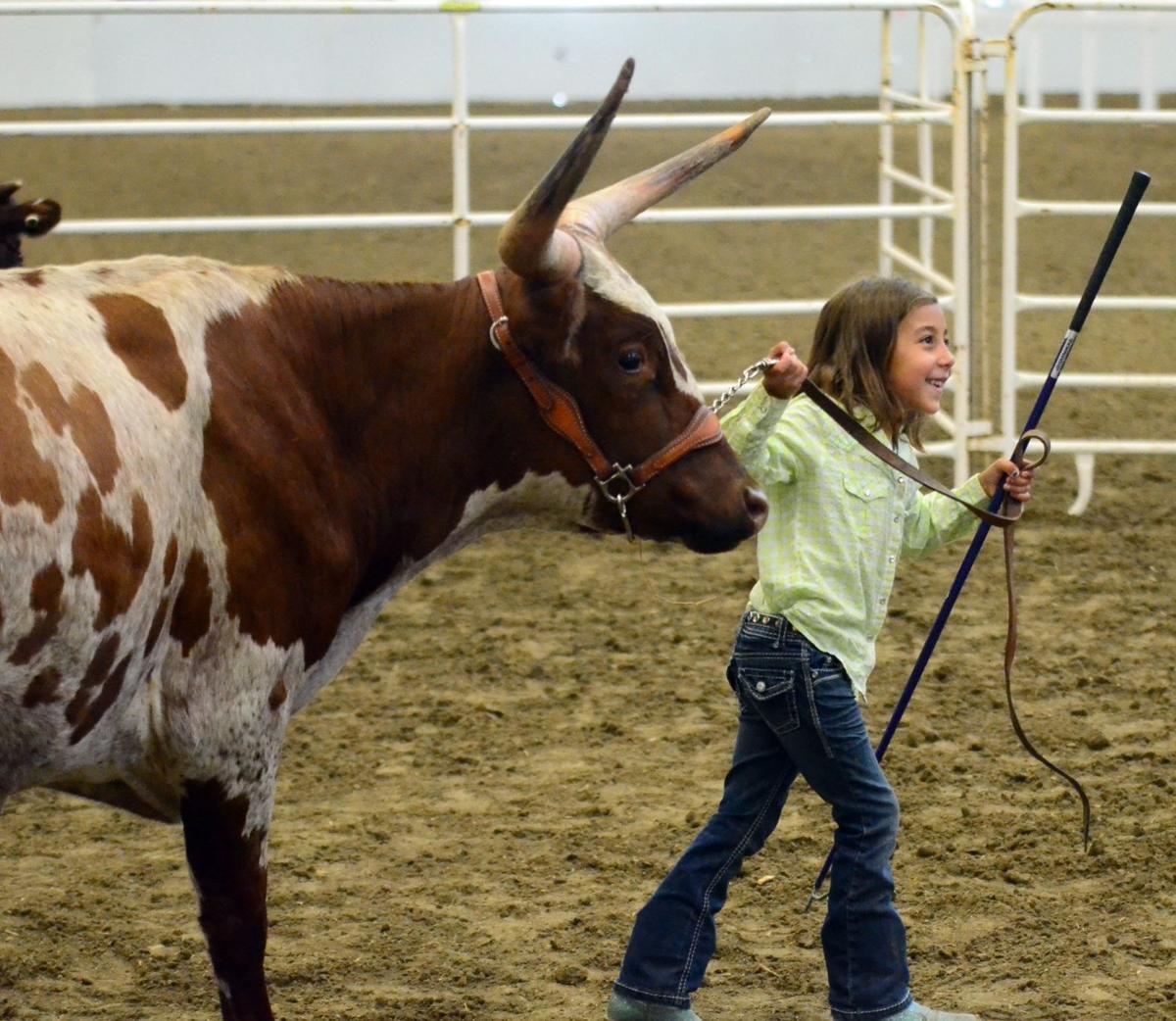 Longhorn show brings families together | Nebraska State Fair News ...