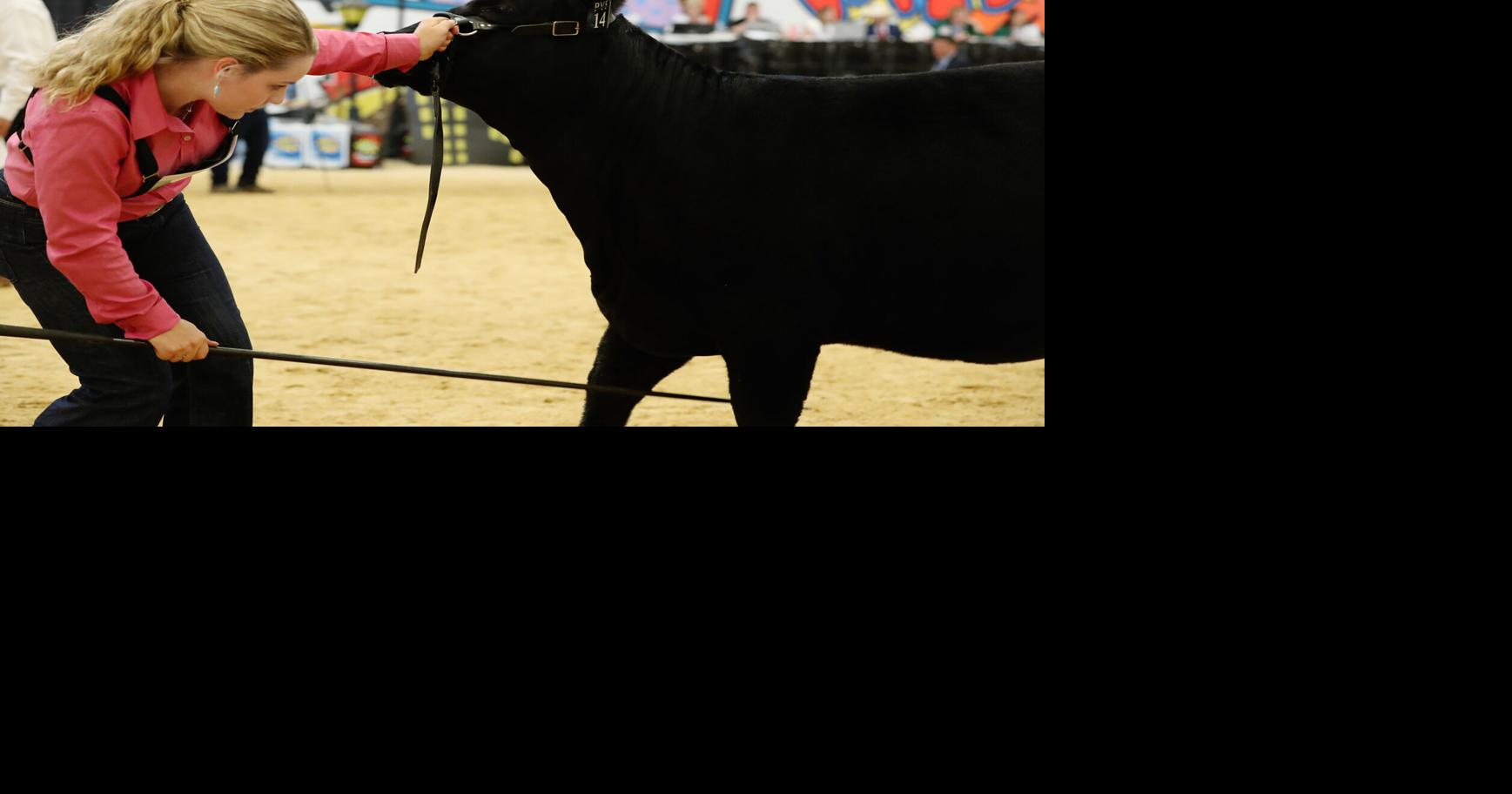 Grand Island in danger of losing national livestock shows