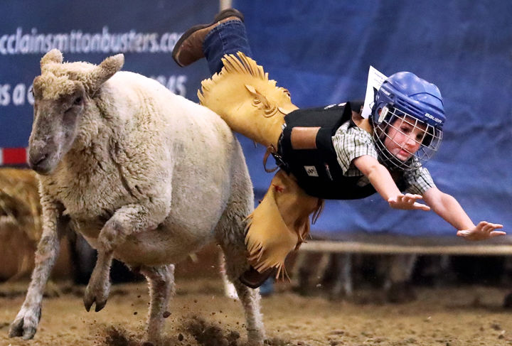 Participants hold on tight at Mutton Bustin’ finals