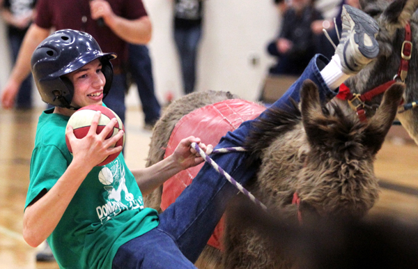 The donkeys win at FFA fundraiser