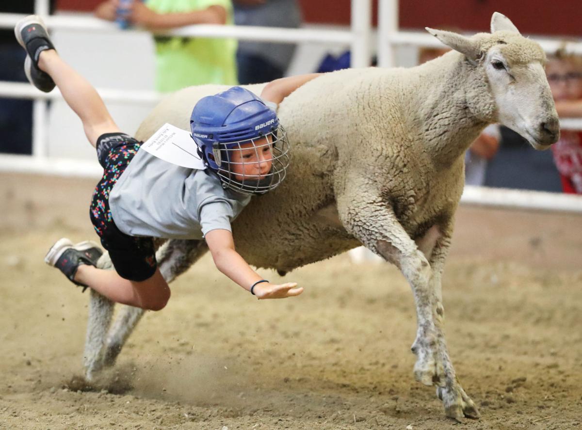 Children hold on tight during mutton busting event | Grand Island Local ...