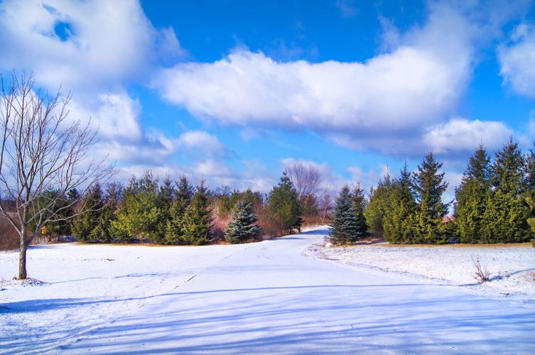 Elizabeth Exstrom: Protecting pines and planning windbreaks; building resilient Nebraska landscapes