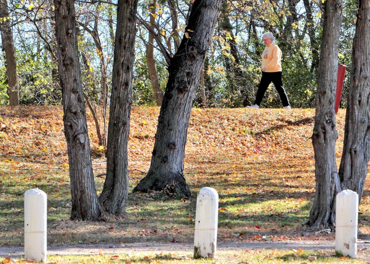 Outdoor exercise equipment to be added to Hall County Park