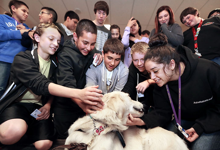Comfort dog program needs apprentice trainers