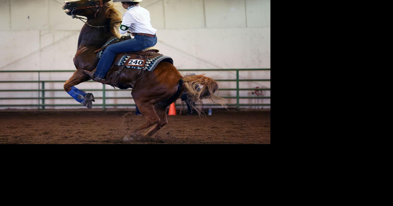 Photos 4 H State Horse Exposition At Fonner Park
