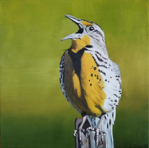 Studio 10 features work of Geneva artist