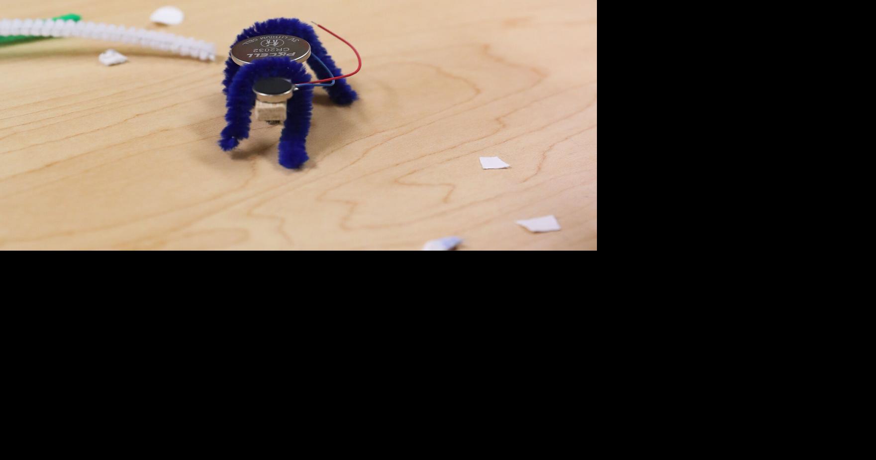 Grand Island-area youngsters build 'bristle bots'