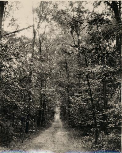It Happened Here: The history of Stolley Park