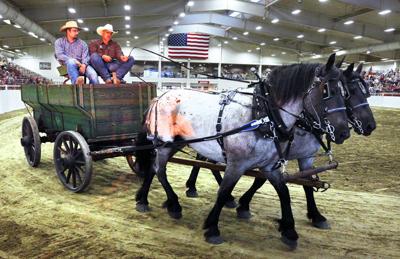 State Fair’s Draft Horse Show to feature ‘magnificent’ animals