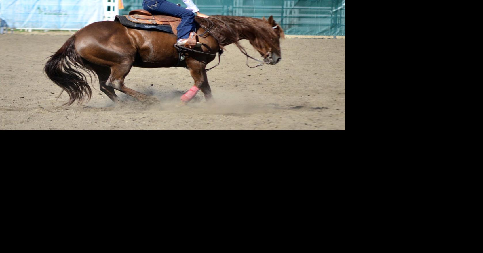 4-H’ers, horses compete at Aksarben Horse Show