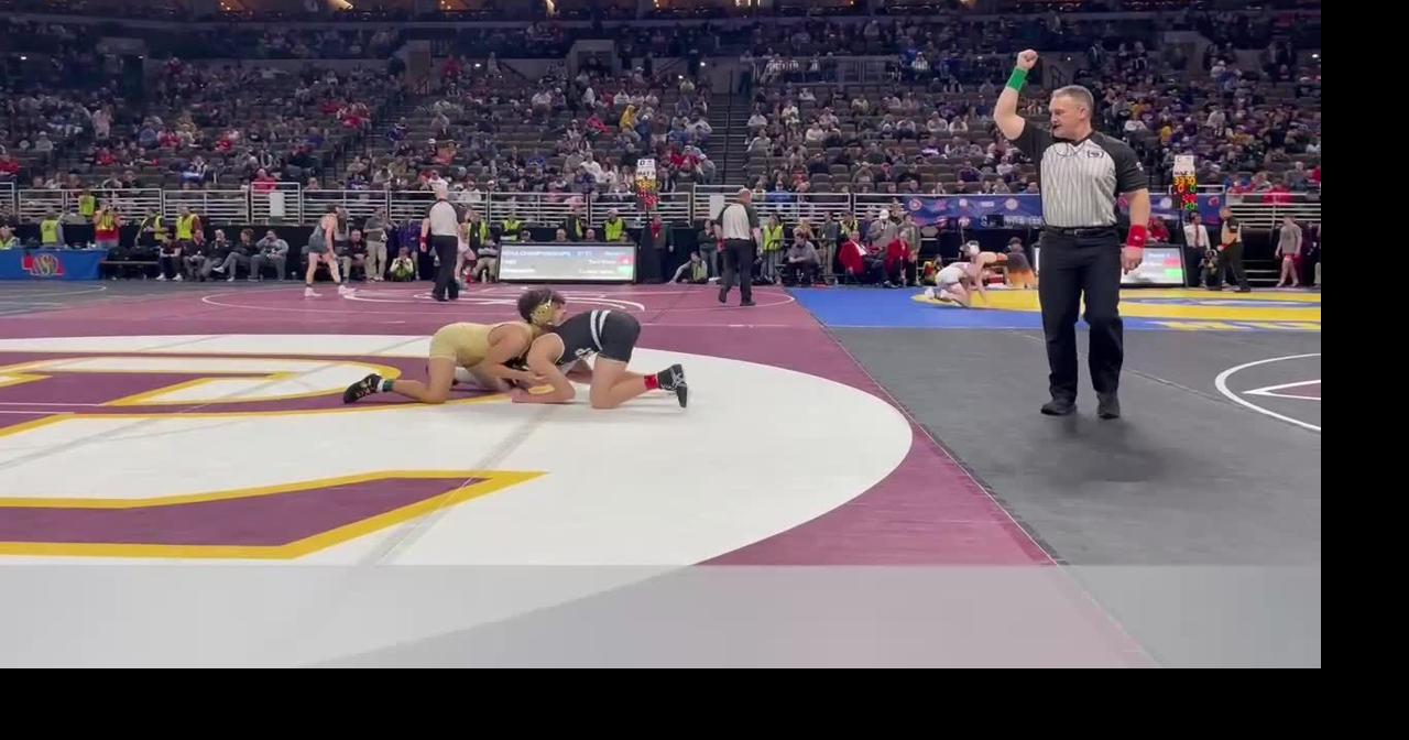 Grand Island area wrestlers at state