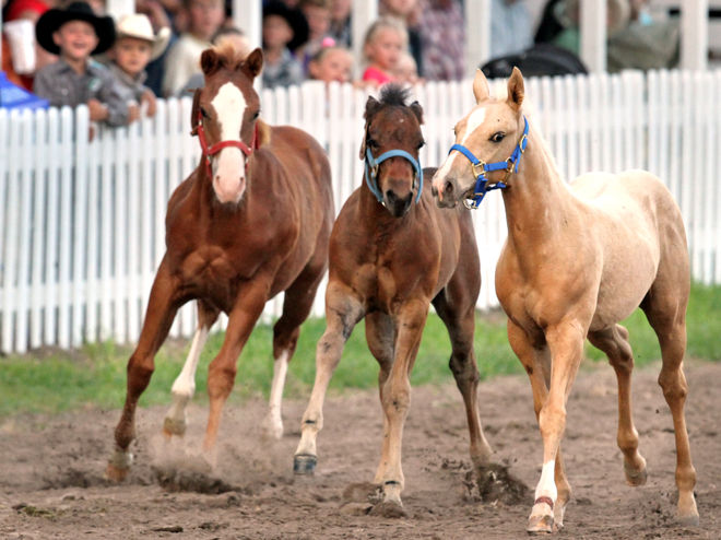 VIDEO: Nebraska's Big Rodeo