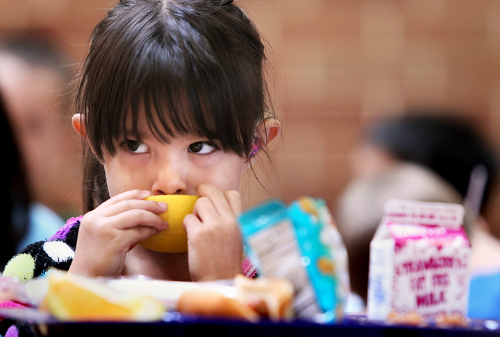 New school lunches include fruit, vegetable choice