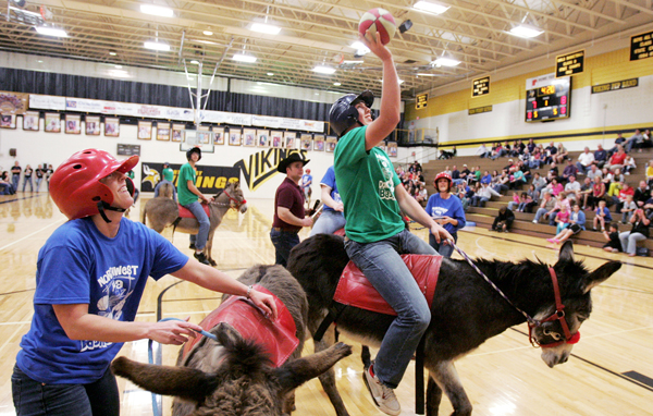 The donkeys win at FFA fundraiser