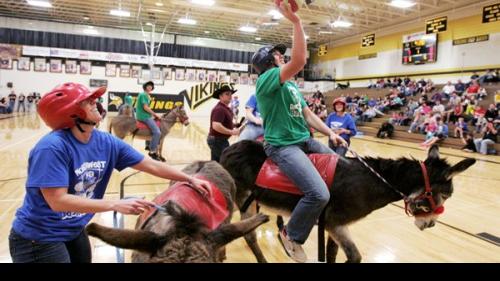 The donkeys win at FFA fundraiser | Local News | theindependent.com