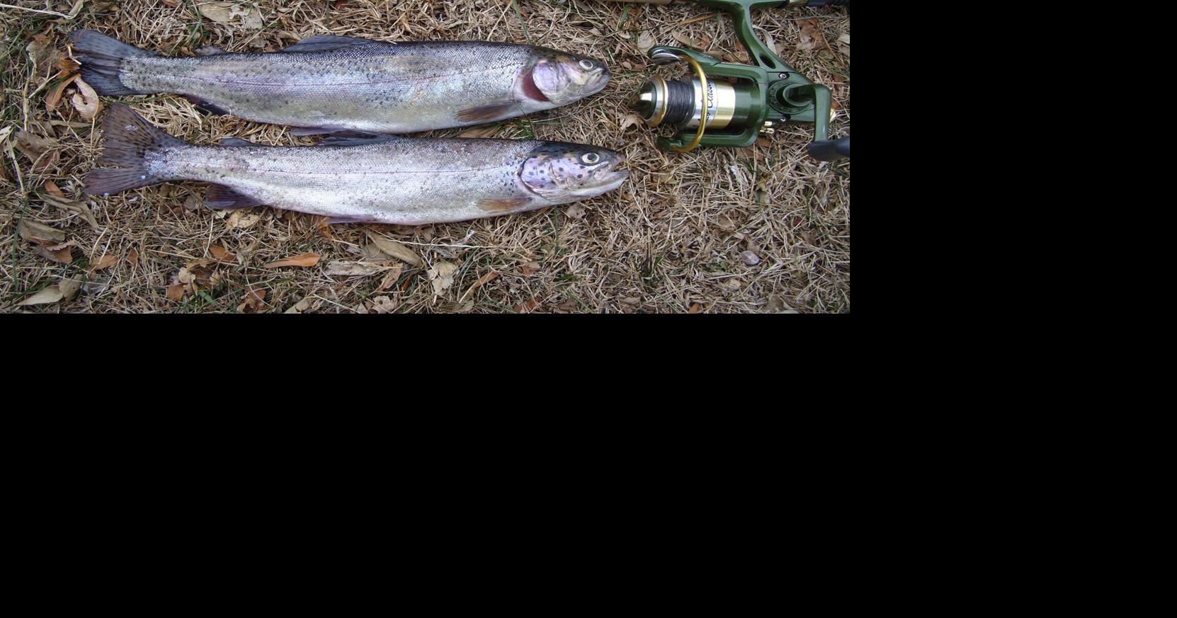 Spring trout stockings start this month
