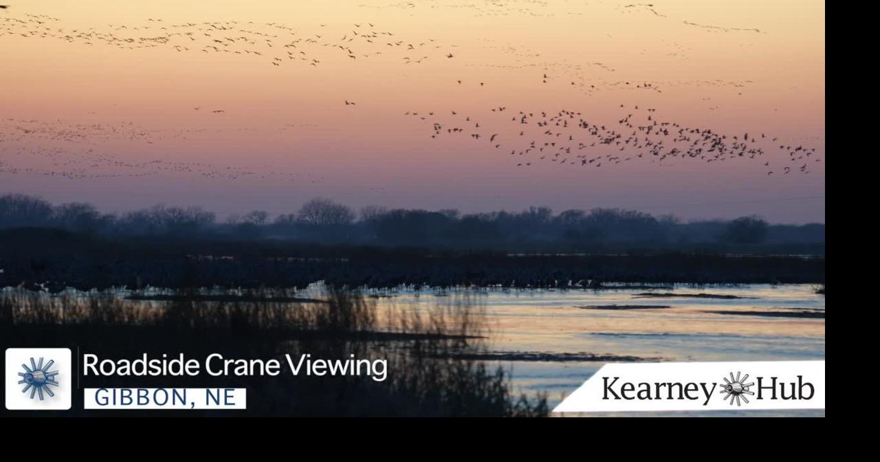 OUTDOORS: Springtime is crane time at Windmill