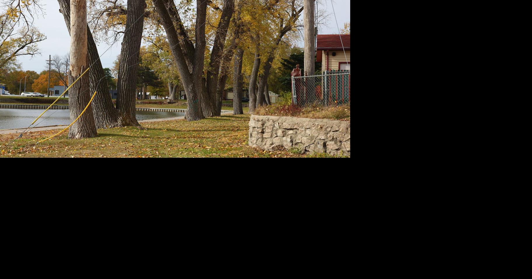 Photos: Some cottonwood trees at Pier Park in Grand Island will be cut down