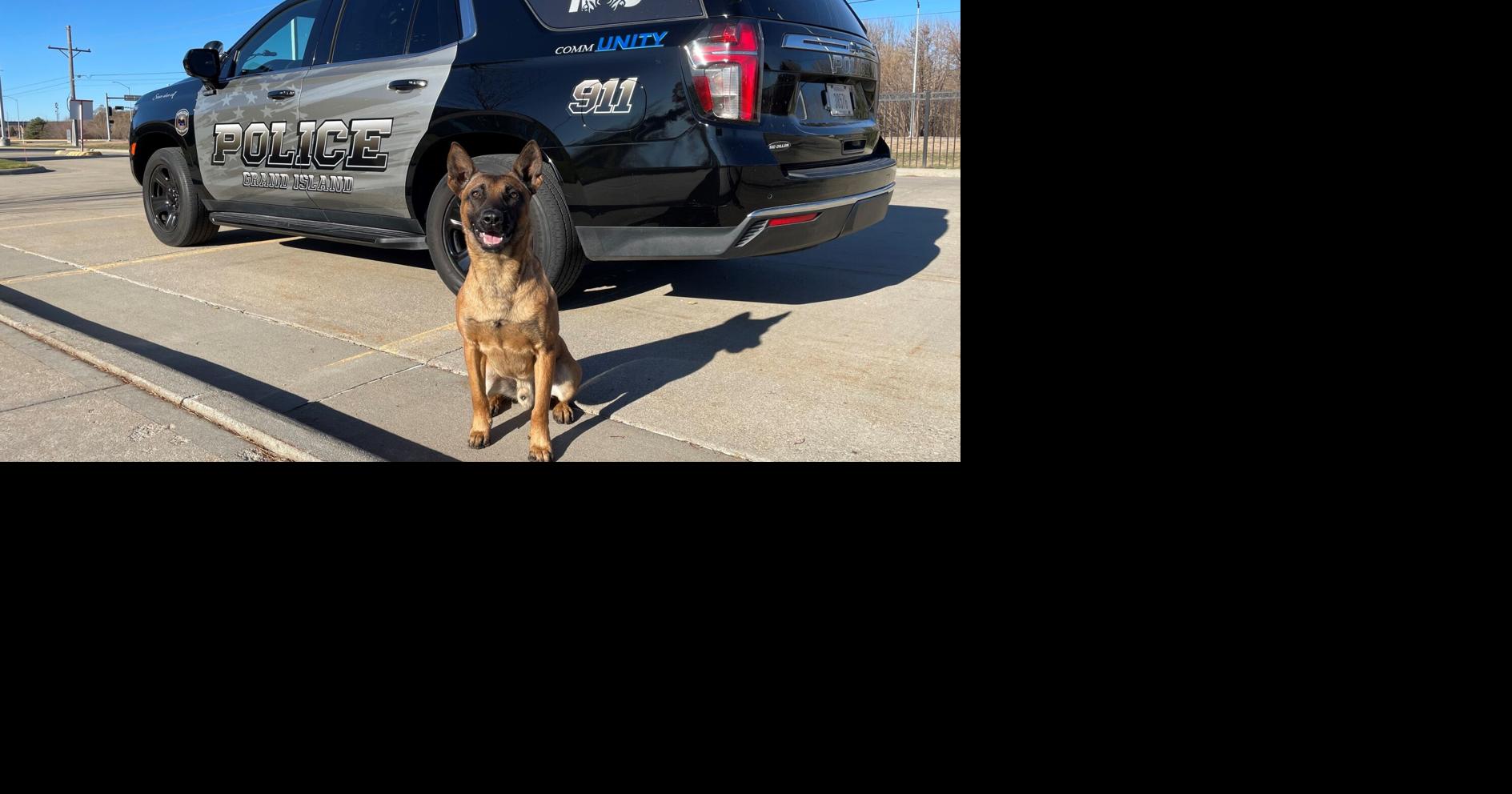 GIPD K9 is getting a bullet and stab-protective vest