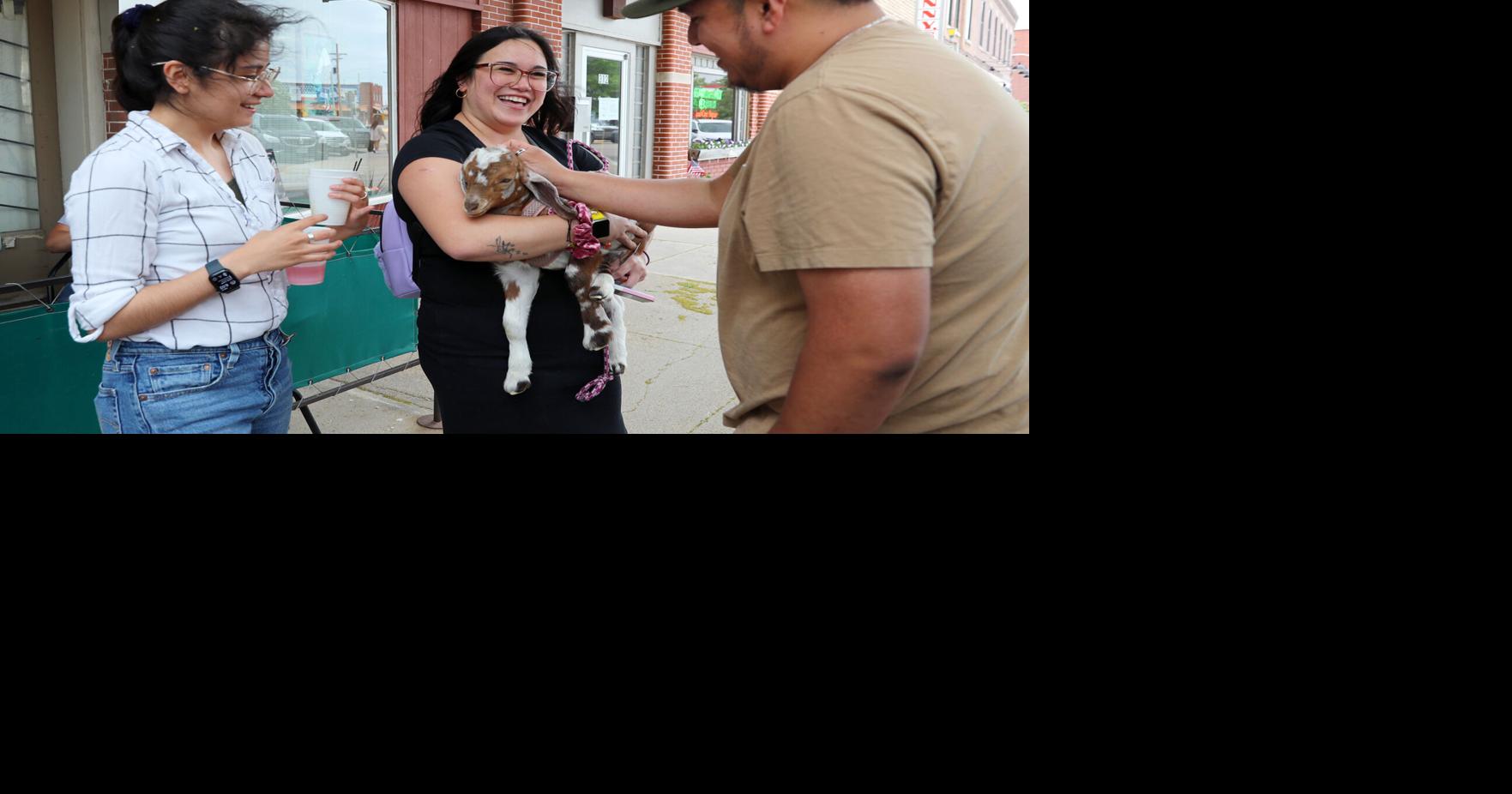 Goat and Greet allows adults to pet a goat while drinking a martini