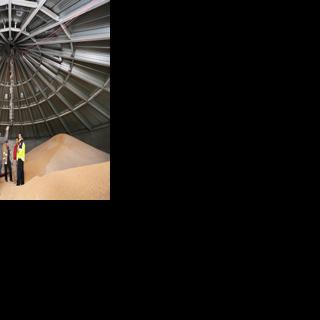 Grain entrapment prevention