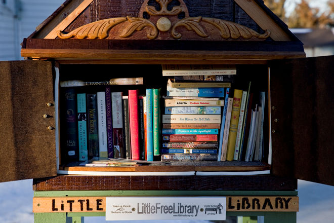 Palmer family creates its own book lending library