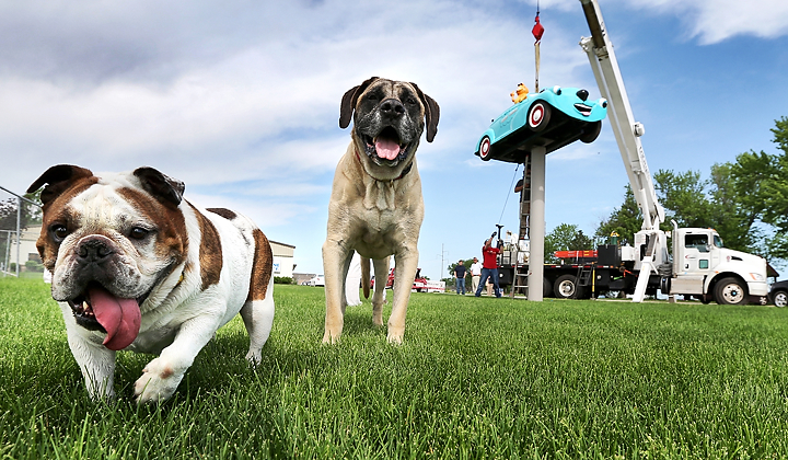 Car sign welcomes people to humane society