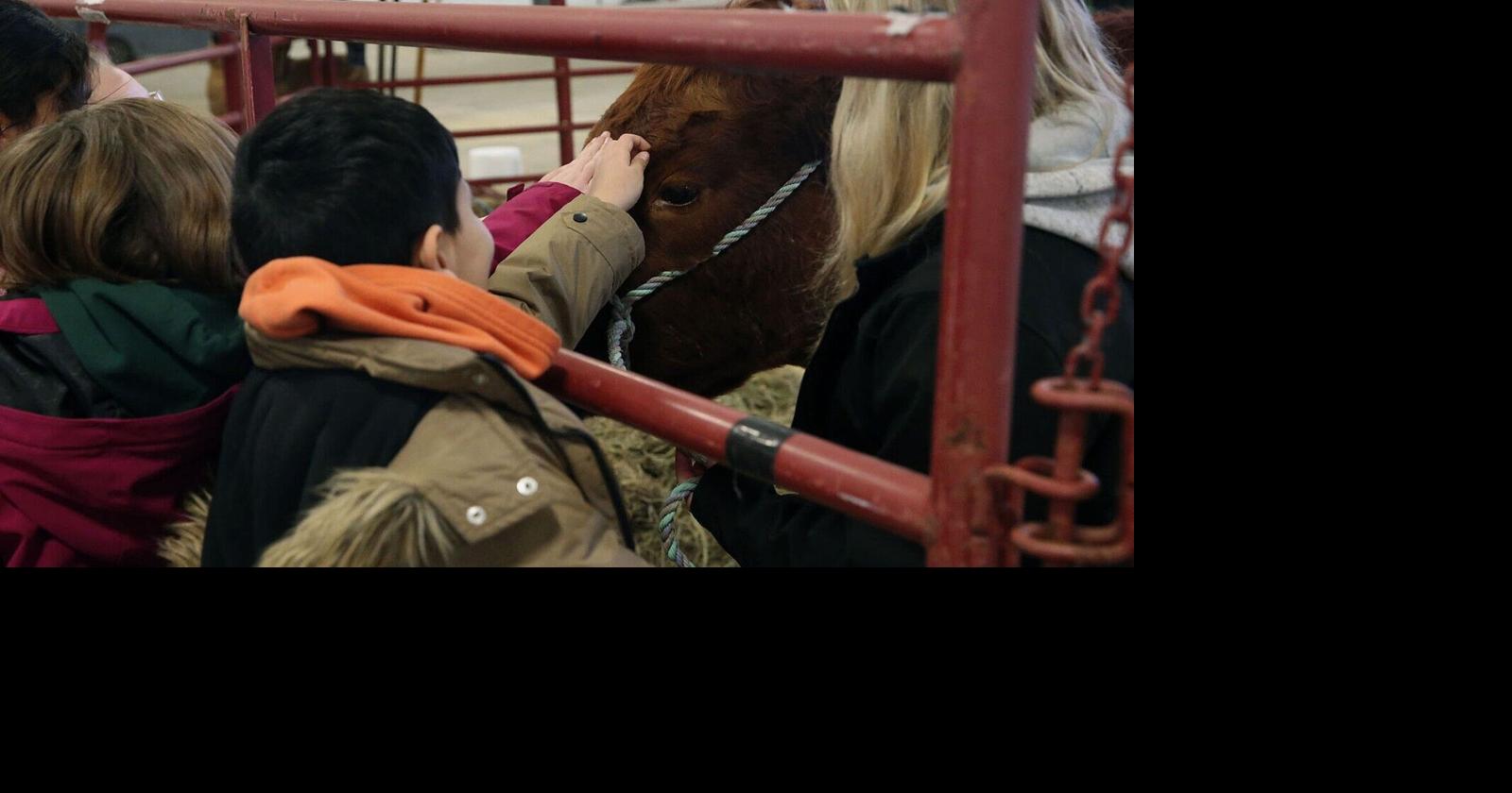 Hall County ag committee to host ag day for fourth graders