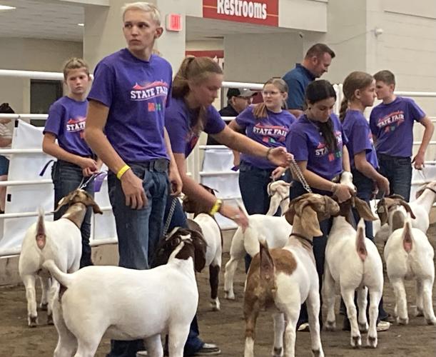 Nebraska State Fair celebrates 4-H Club members