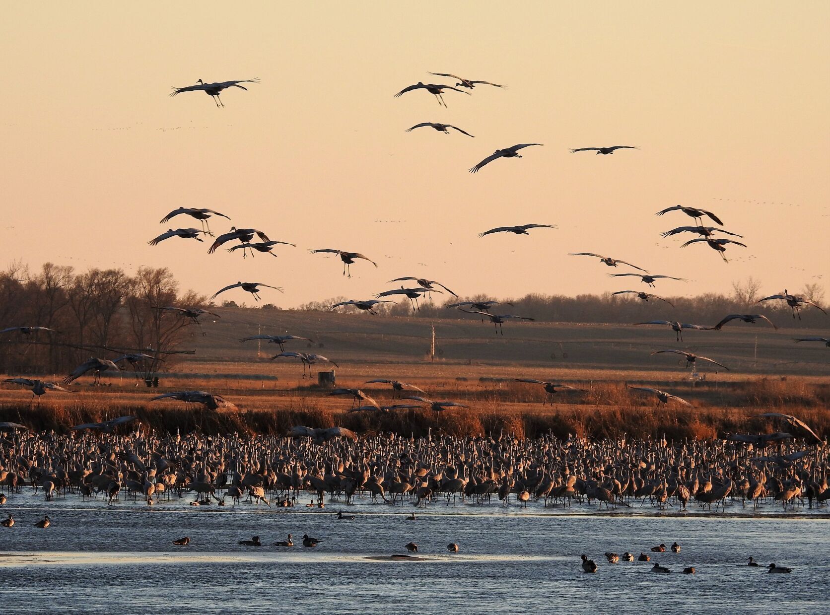 Crane Trust at Alda NE is ready for flocks of visitors
