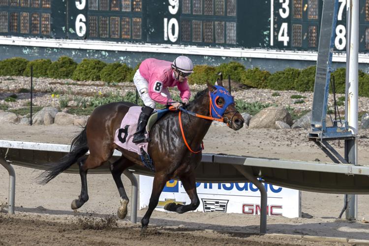 Hasty Flyer soars to win in Baxter Stakes