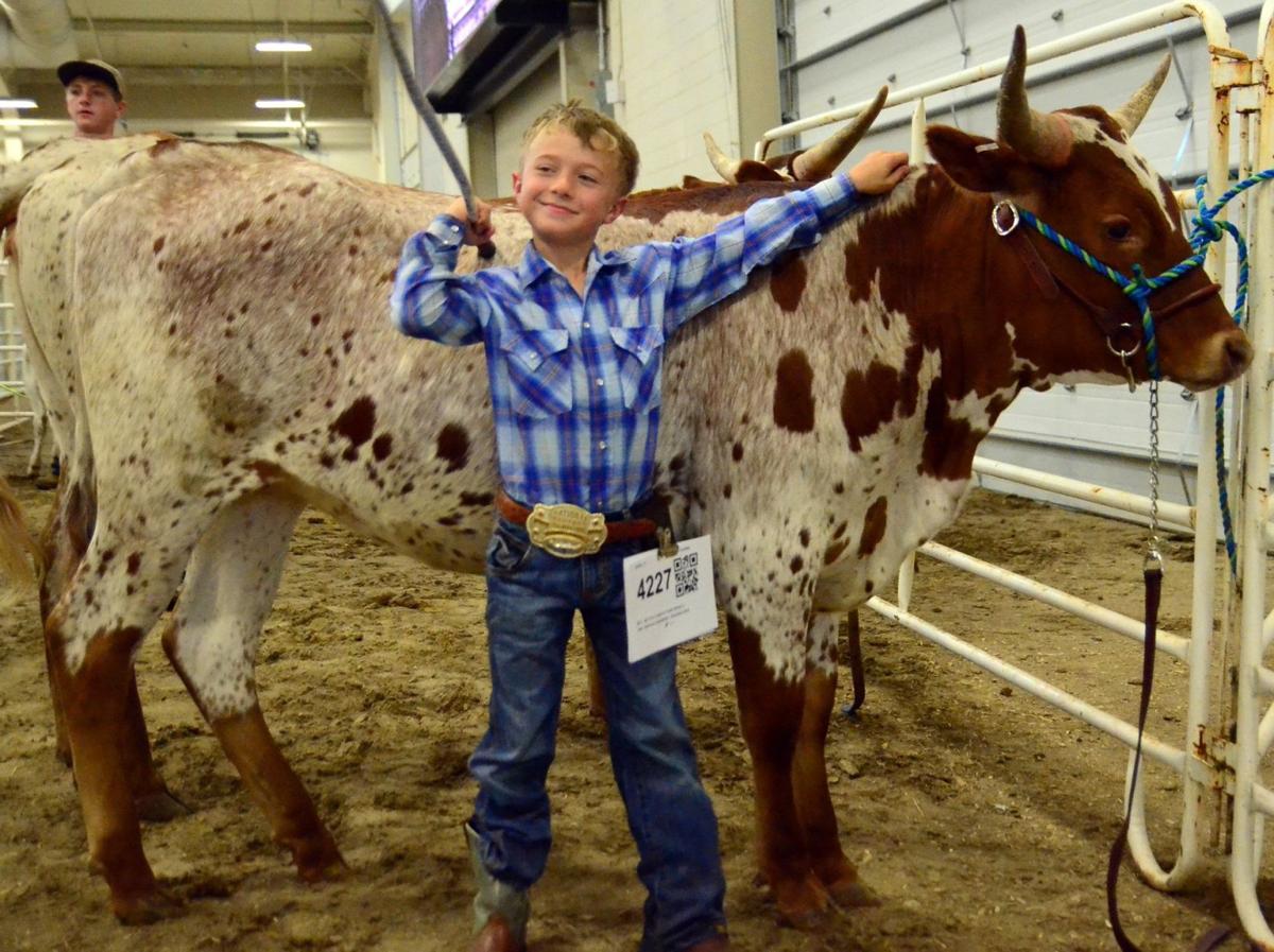 Longhorn show brings families together | Nebraska State Fair News ...