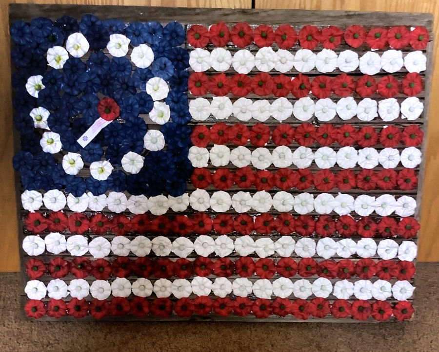 VFW Buddy Poppy program wins national honor | Grand Island Local News ...