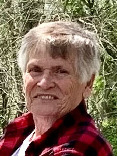 Donna Marie Stortzum