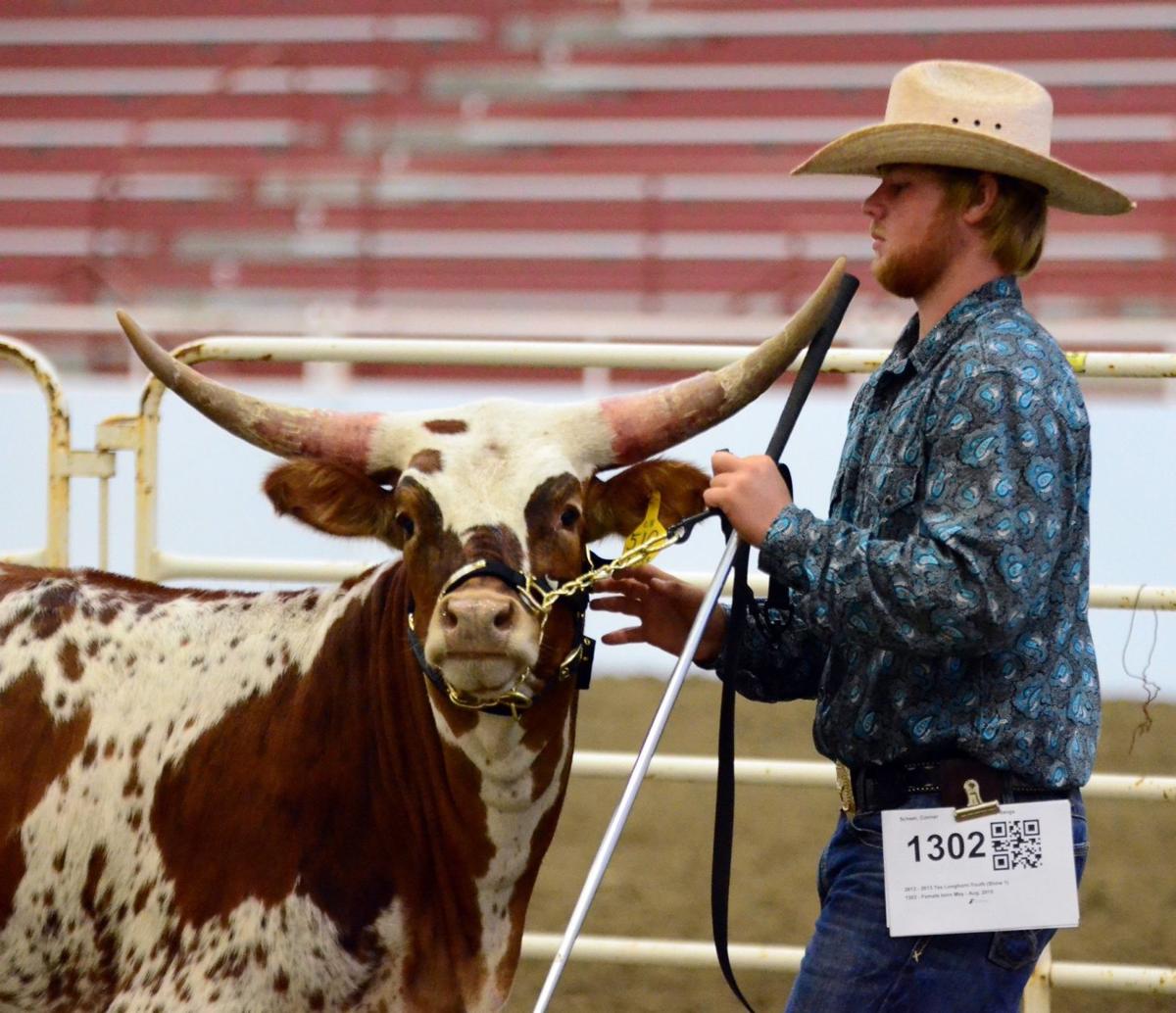 Longhorn show brings families together | Nebraska State Fair News ...