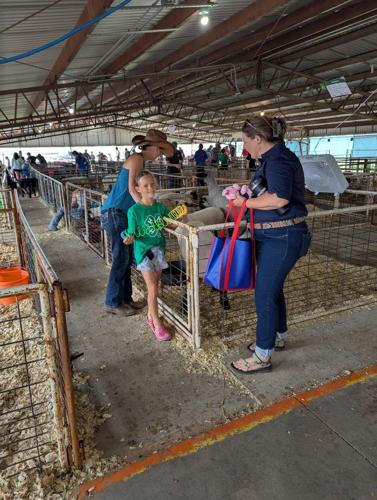 Nebraska State Fair staff volunteer at county fairs