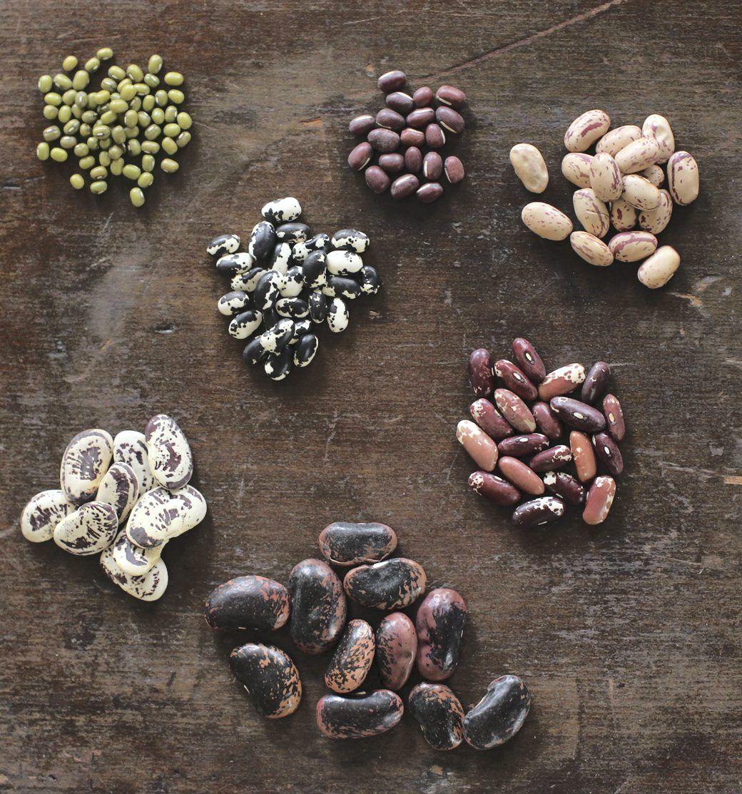 Master the art of cooking dried beans from scratch