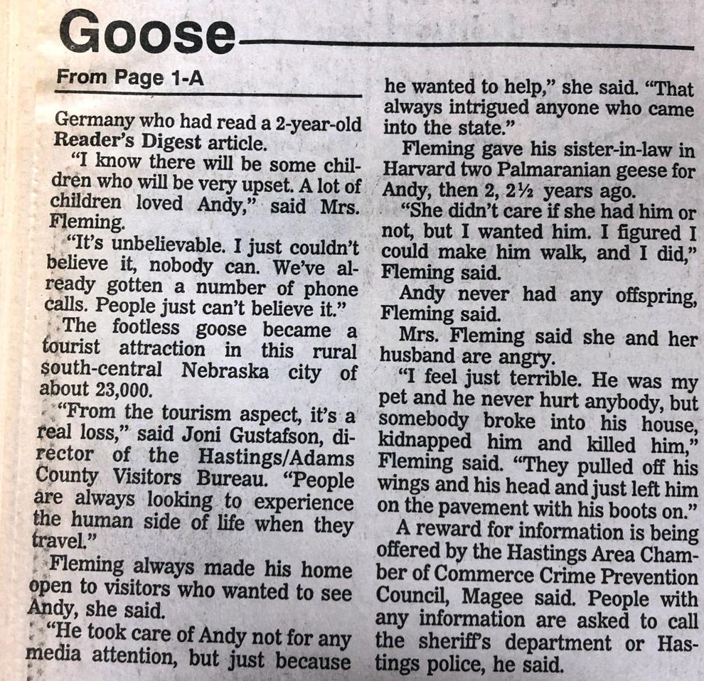 The story of area legend Andy, the famous goose who wore Nikes
