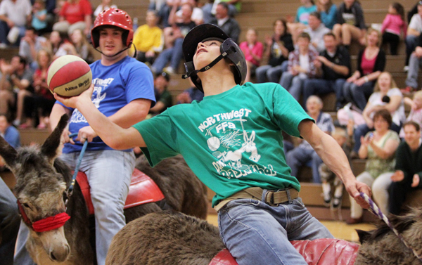 The donkeys win at FFA fundraiser