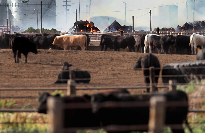 Firefighters respond to hay bale fire